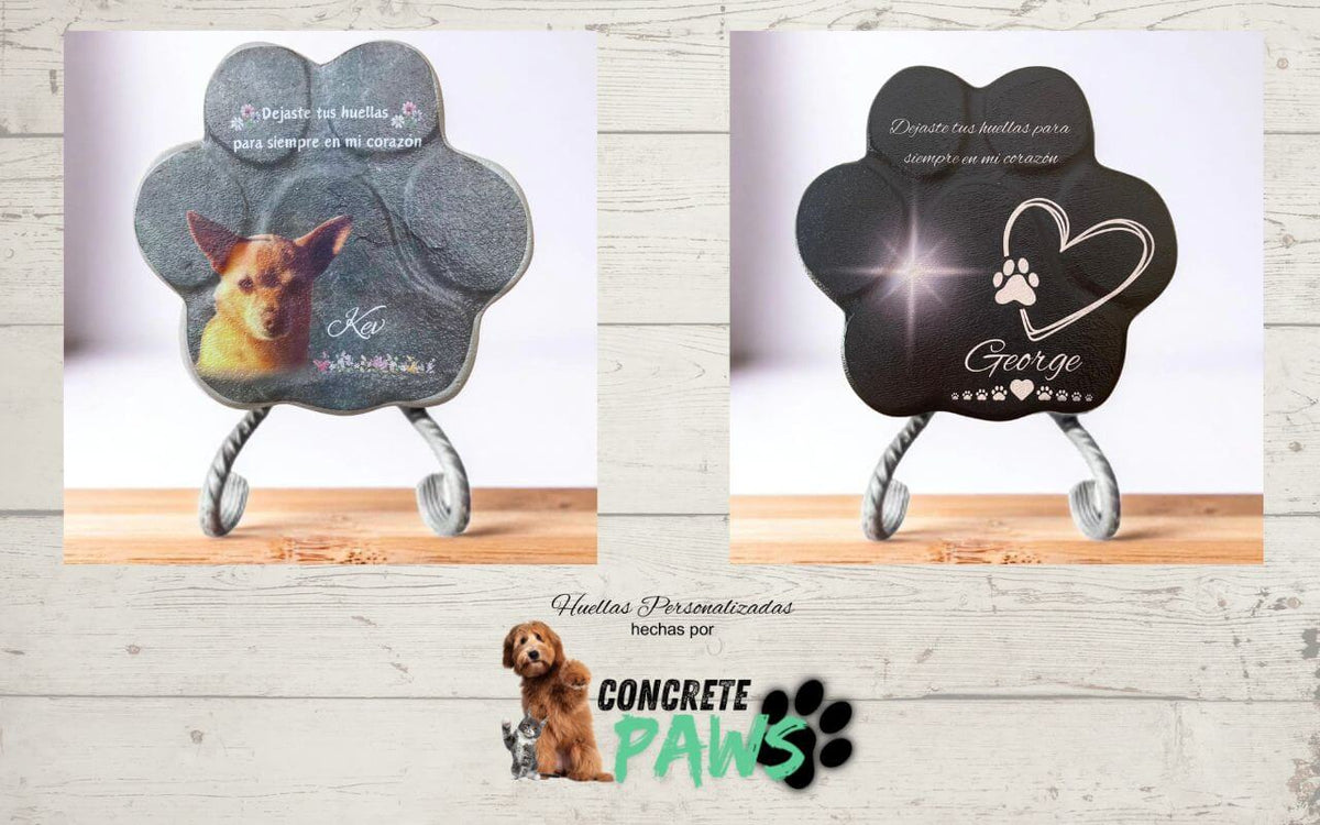 Cómo Conmemorar a Tu Perro Fallecido: Huellas Personalizadas y Homenaj ...